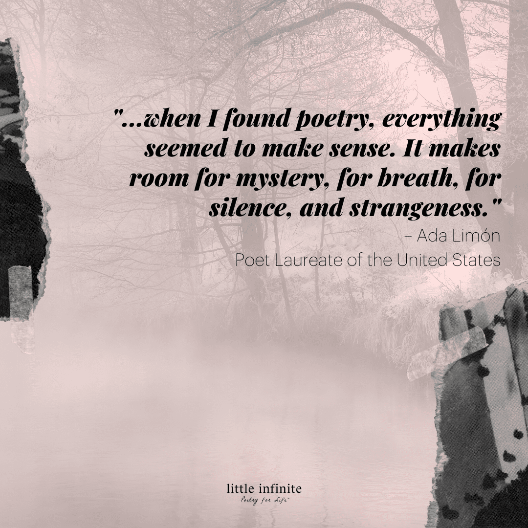 Interview with Author and US Poet Laureate Ada Limón - Little Infinite