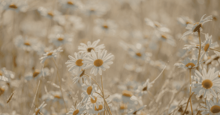 7 Feel-Good Short Stories To Warm Your Soul - Little Infinite