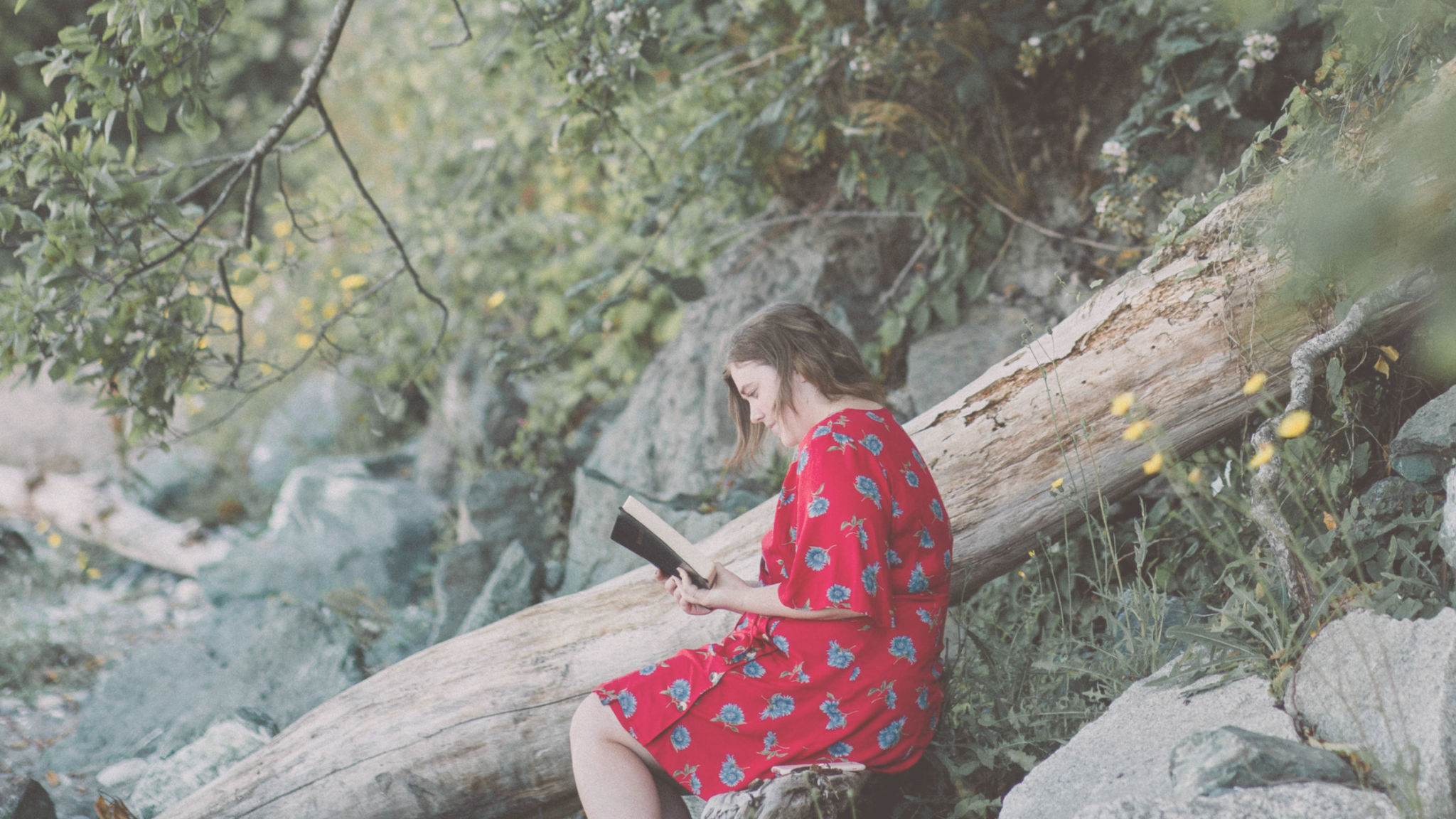 Inspiring Nature Poems to Reconnect with the Natural World - Little ...