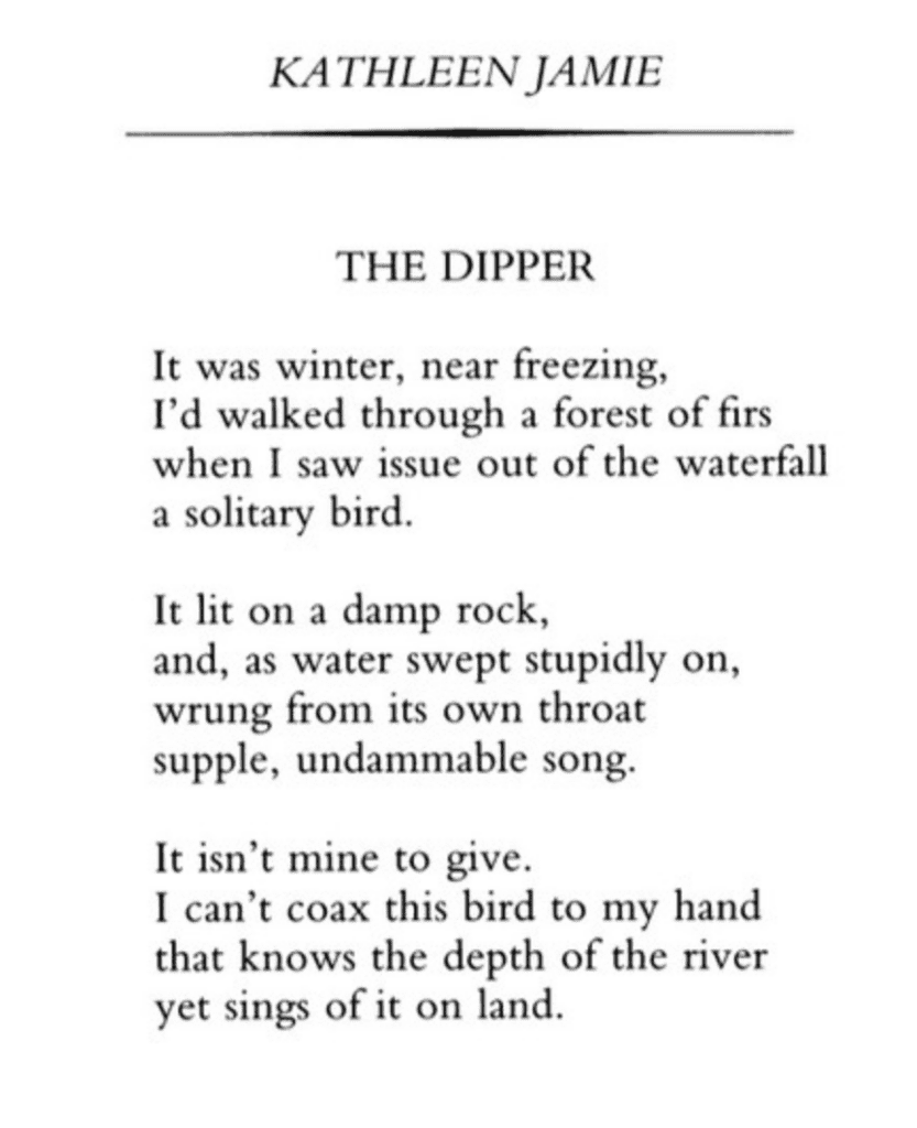 Short, Winter Poems for Long, Cold Nights - Little Infinite